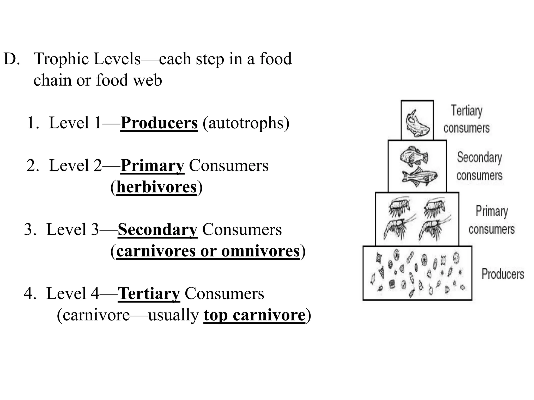 Lesson 1. concept of ecology | PDF