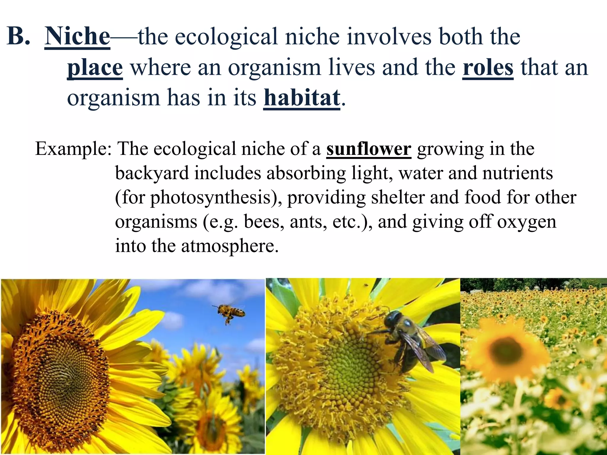 Lesson 1. concept of ecology | PDF