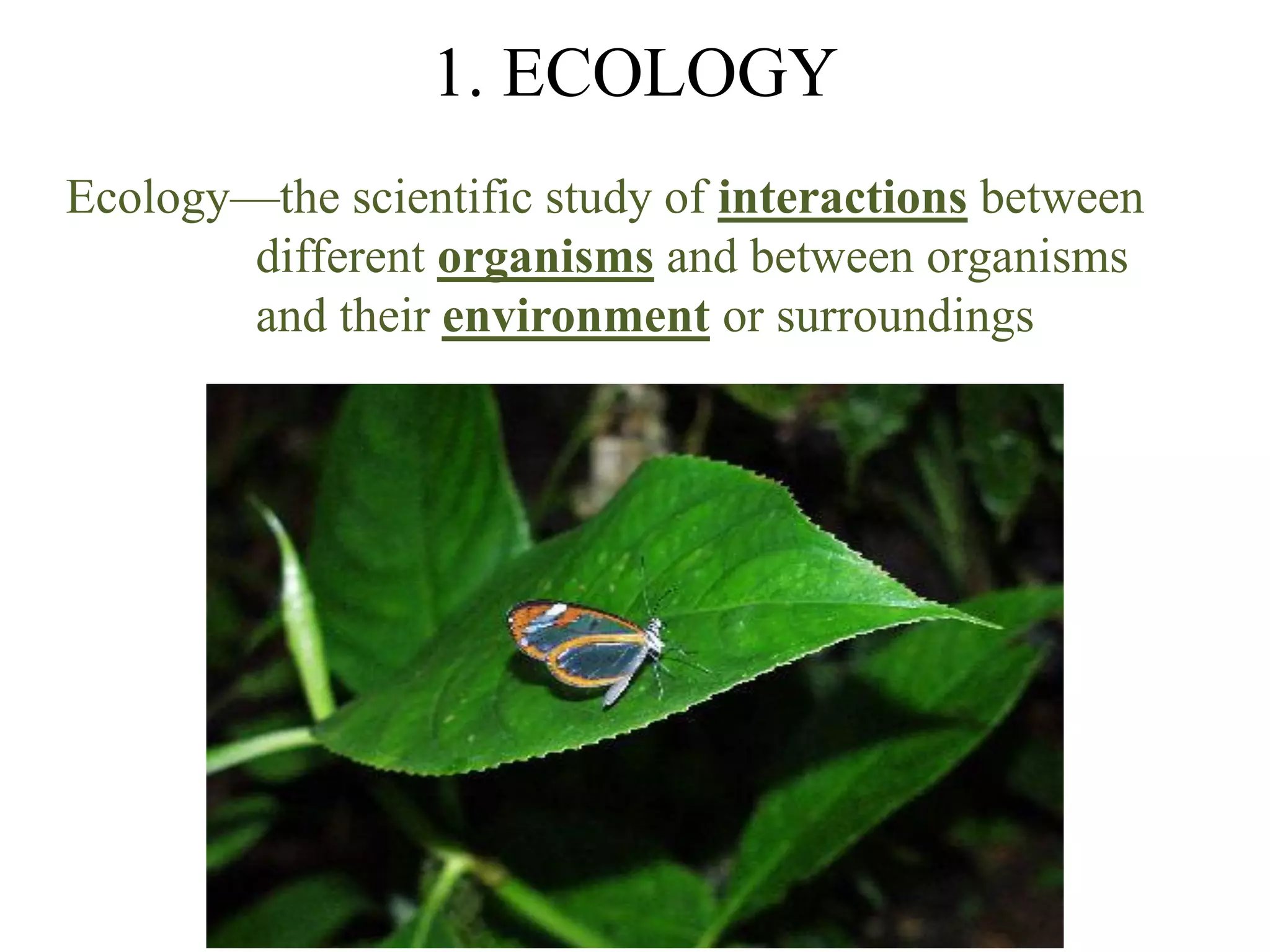 Lesson 1. concept of ecology | PDF
