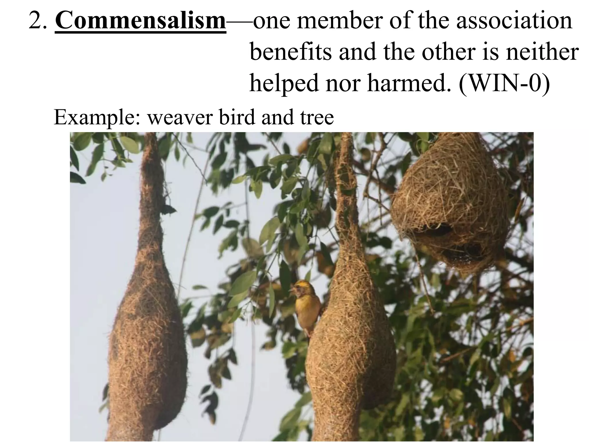 Lesson 1. concept of ecology | PDF