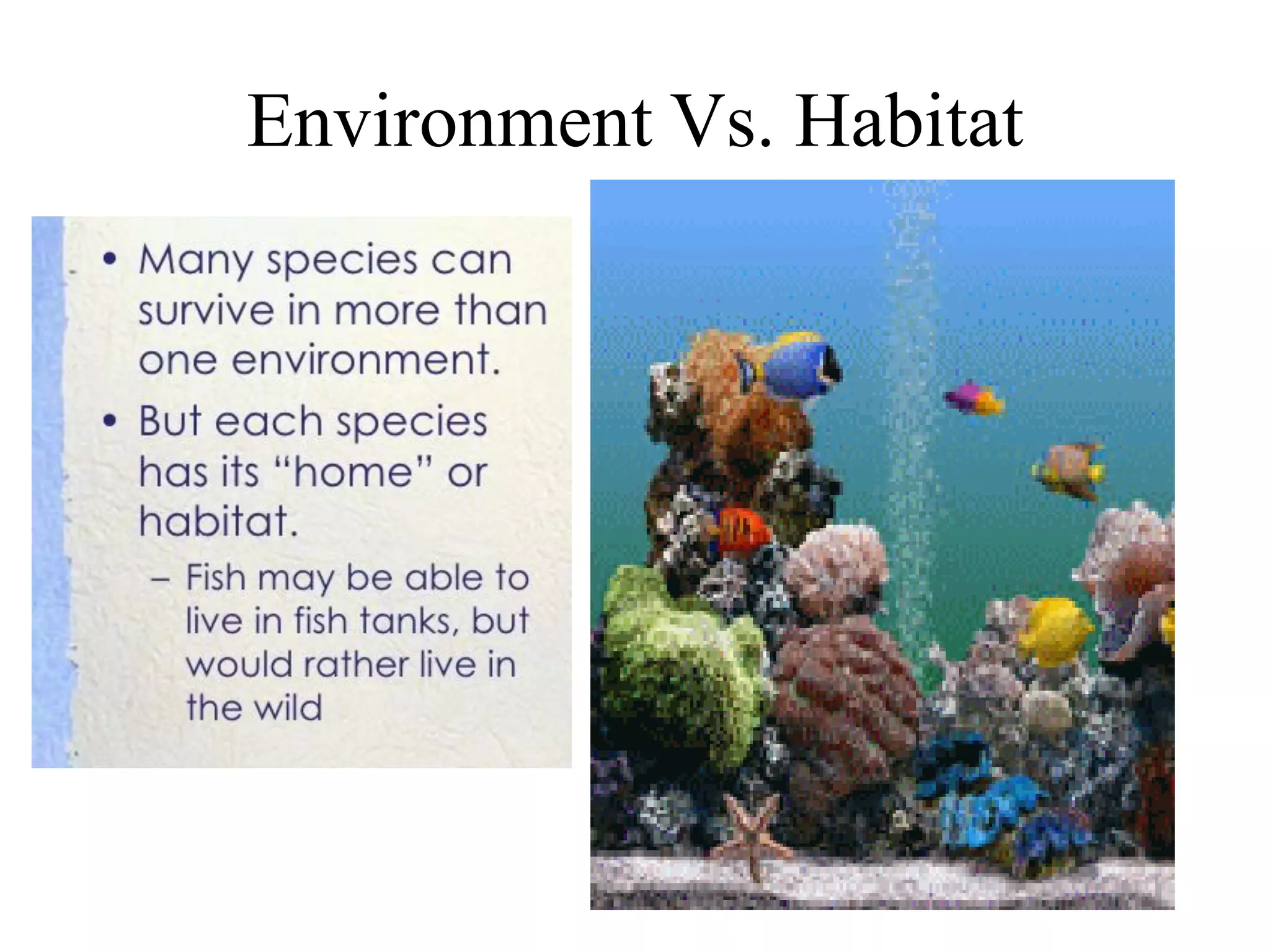 Lesson 1. concept of ecology | PDF