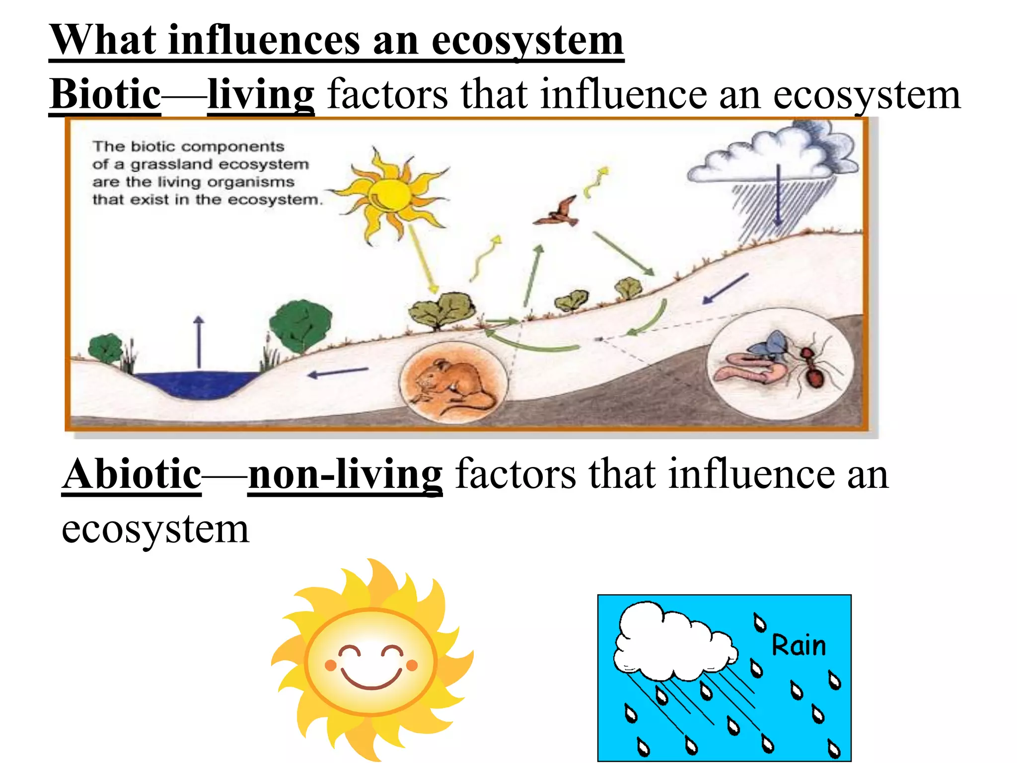 Lesson 1. concept of ecology | PDF