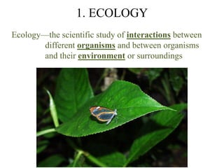 Lesson 1. concept of ecology | PDF