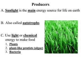 Lesson 1. concept of ecology | PDF