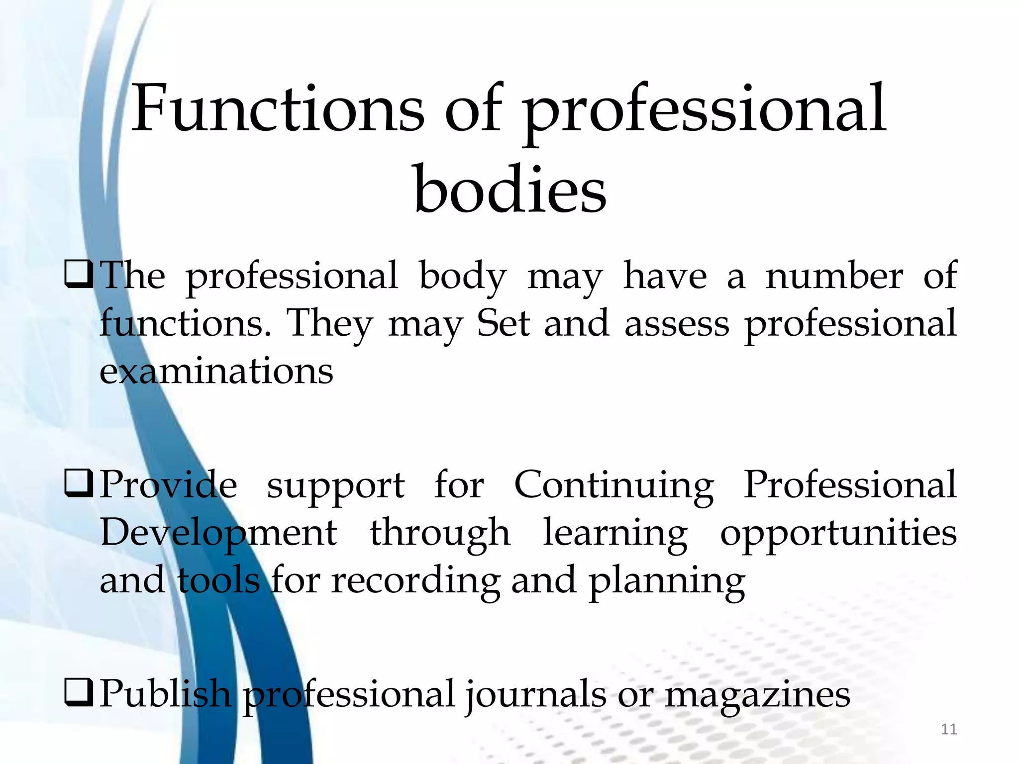 Information Technology Professionalism | PPTX