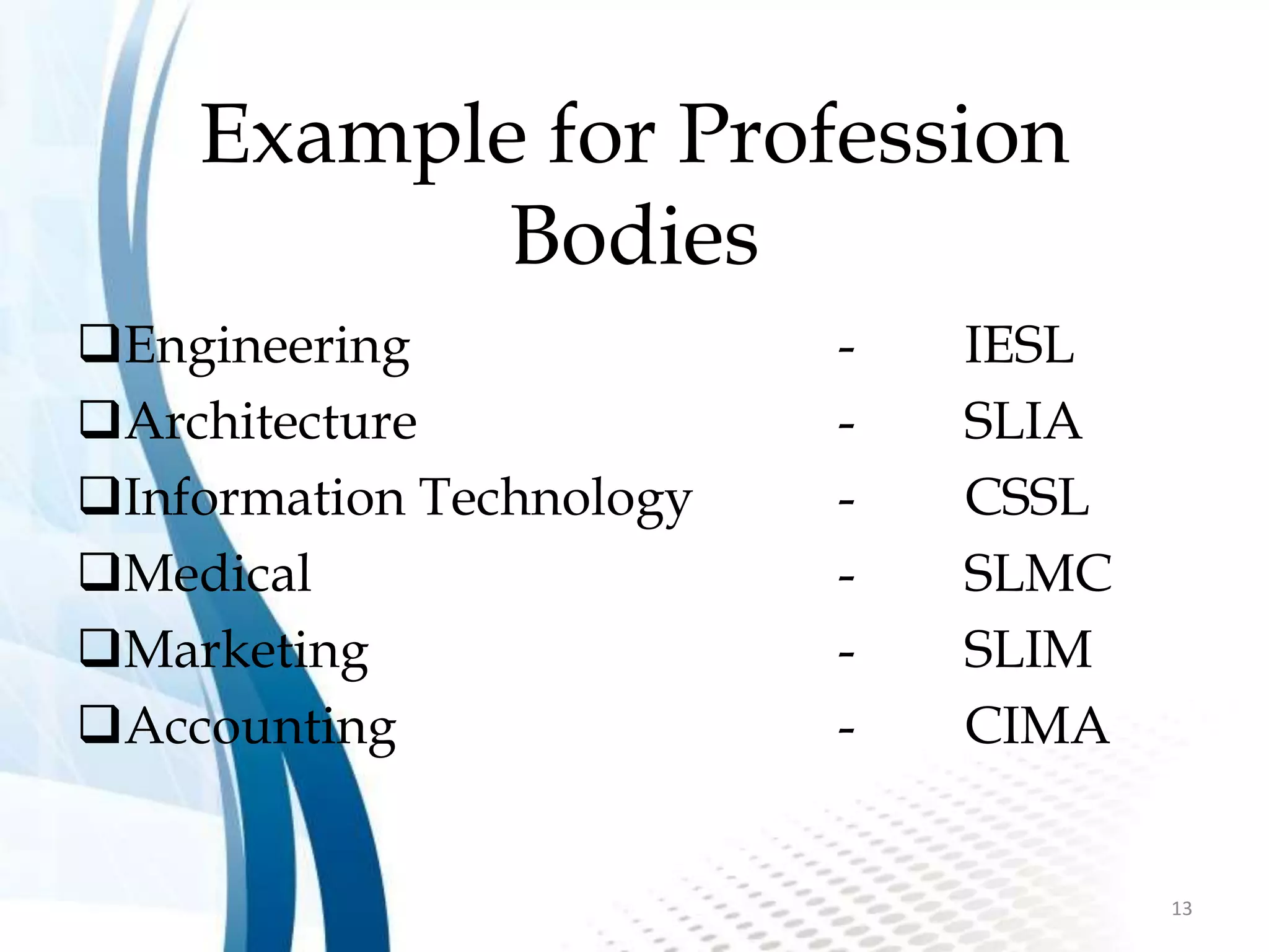 Information Technology Professionalism | PPTX