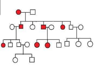 General Biology 2 - Lesson 1: Pedigree Analysis | PPTX