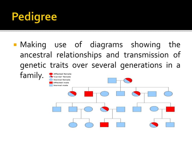 General Biology 2 - Lesson 1: Pedigree Analysis | PPTX