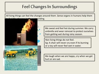 Living And Non - Living Things | PPTX