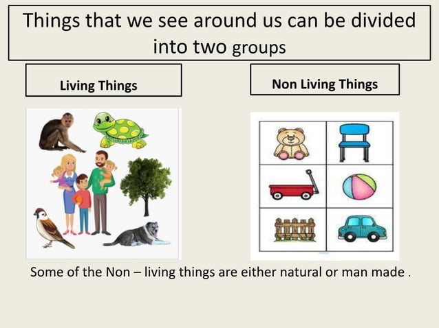 Living And Non - Living Things | PPTX | Biological Sciences | Science