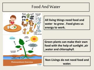 Year Science Living Things Need Food And Water, 43% OFF