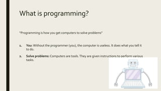 S1 Programming Lesson 1 | PPT