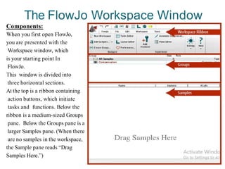 Lesson 1 Basic Tutorial Data Analysis Software for Flow Cytometry | PPTX