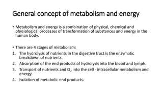 Lesson 1. Digestion | PPTX