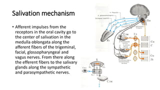 Digestion .pdf