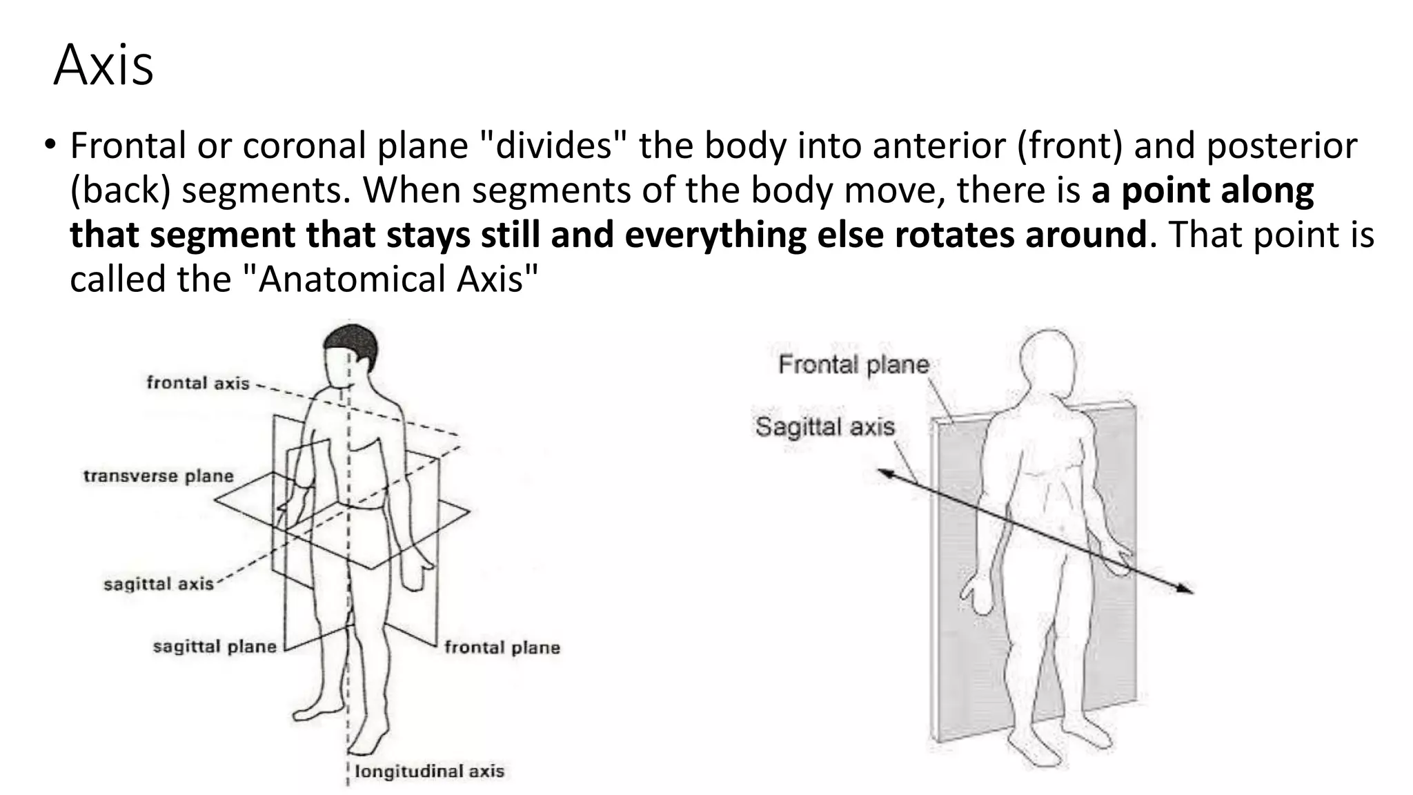 anatomy terminology/bone.pptx