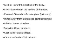 anatomy terminology/bone.pptx