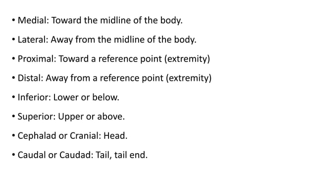 anatomy terminology/bone.pptx