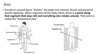 anatomy terminology/bone.pptx