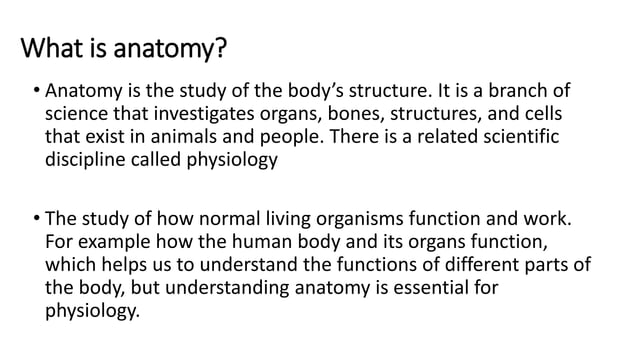 anatomy terminology/bone.pptx