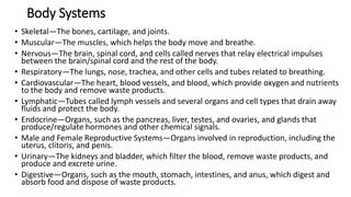 anatomy terminology/bone.pptx
