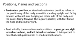 anatomy terminology/bone.pptx
