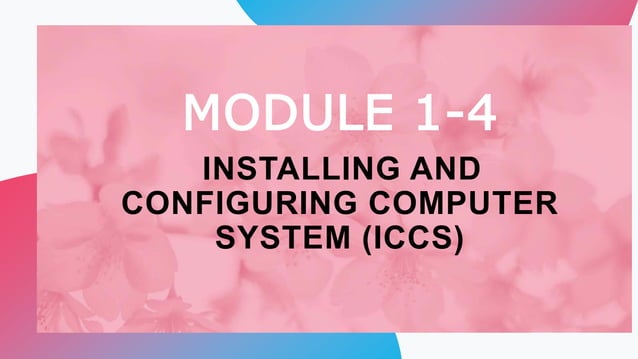 INSTALLING SOFTWARE | PPTX | Internet for Beginners | Internet