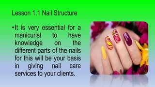 Lesson 1.1 Nail Structure.pptx