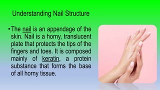 Lesson 1.1 Nail Structure.pptx