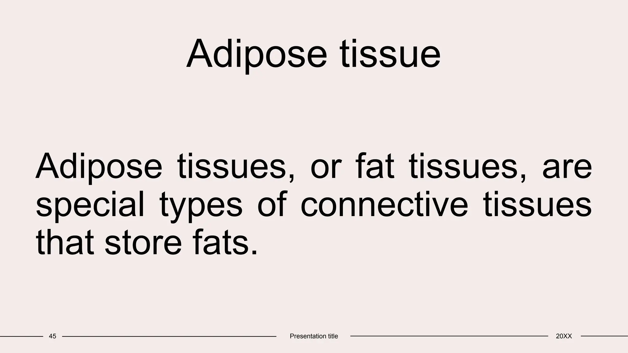 lesson 1 animal specialized structure.pptx