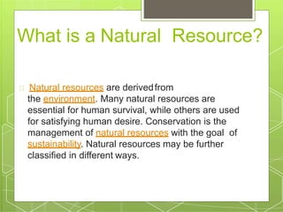 Lesson 1.pptx What is a Natural Resource? | PPT