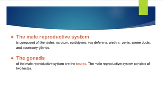 lesson 1.1 grade10 male reproductive 3rd quarter..pptx