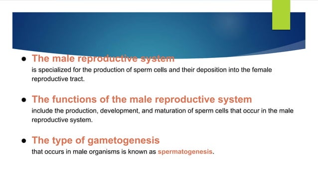 lesson 1.1 grade10 male reproductive 3rd quarter..pptx