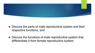lesson 1.1 grade10 male reproductive 3rd quarter..pptx