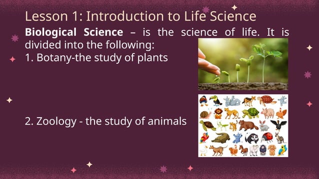 lesson 1. Introduction to Life Science_053551.pptx