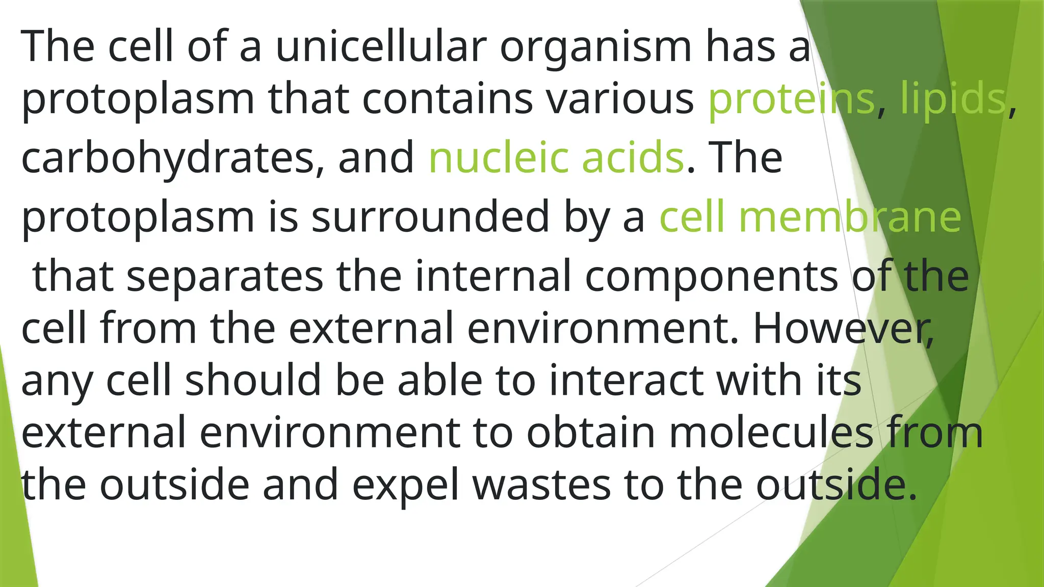 LESSONaadasdasdasdakkkakakakkkaa1.1.pptx