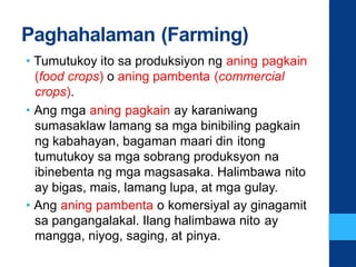 LESSON 1 araling panlipunan ap araling panlipunan.pptx