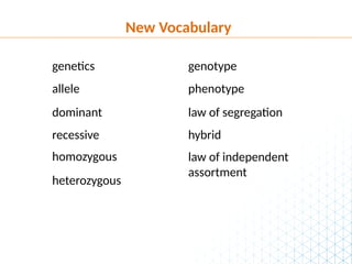 Biology - Genetics - Mendelian Genetics.pptx