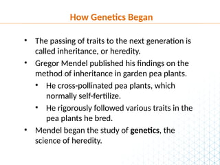 Biology - Genetics - Mendelian Genetics.pptx