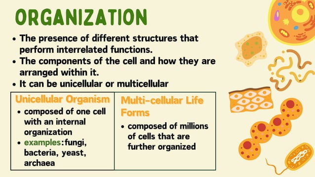 introduction of life science lesson 1,2, and 3 | PPT