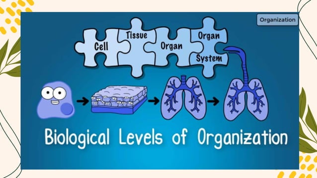 introduction of life science lesson 1,2, and 3 | PPT