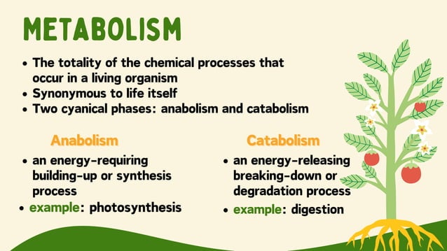 introduction of life science lesson 1,2, and 3 | PPT