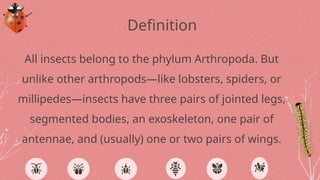 phylum arthropoda, class insects for high school | PPT