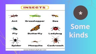 phylum arthropoda, class insects for high school | PPT