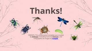 phylum arthropoda, class insects for high school | PPT