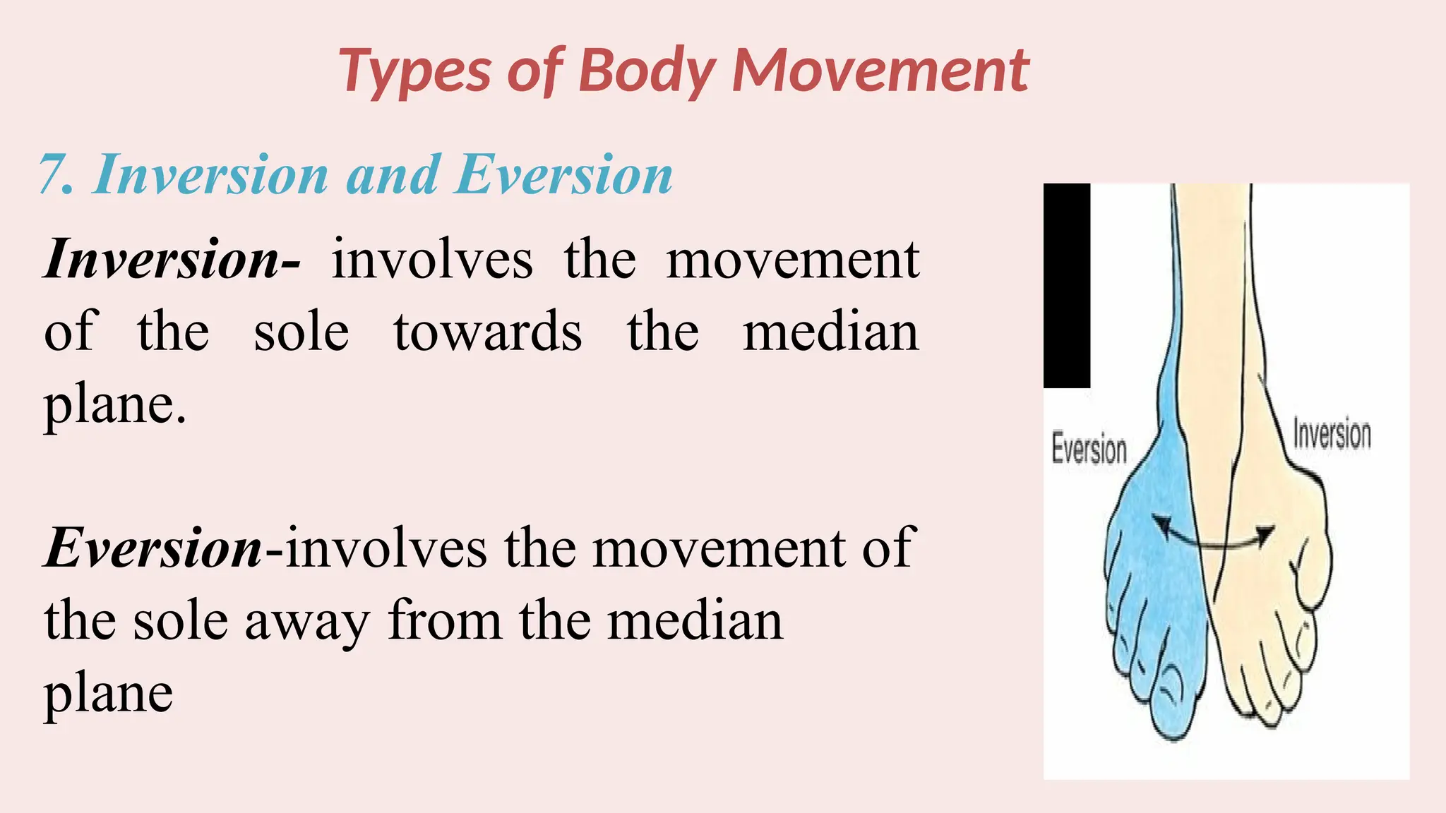 pathfit1-LESSON 1-ANATOMICAL POSITIONS.pptx