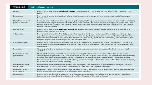 pathfit1-LESSON 1-ANATOMICAL POSITIONS.pptx | Death, Injury, or ...