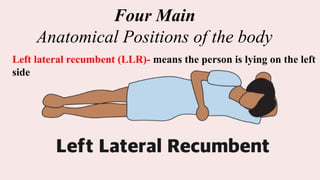 pathfit1-LESSON 1-ANATOMICAL POSITIONS.pptx