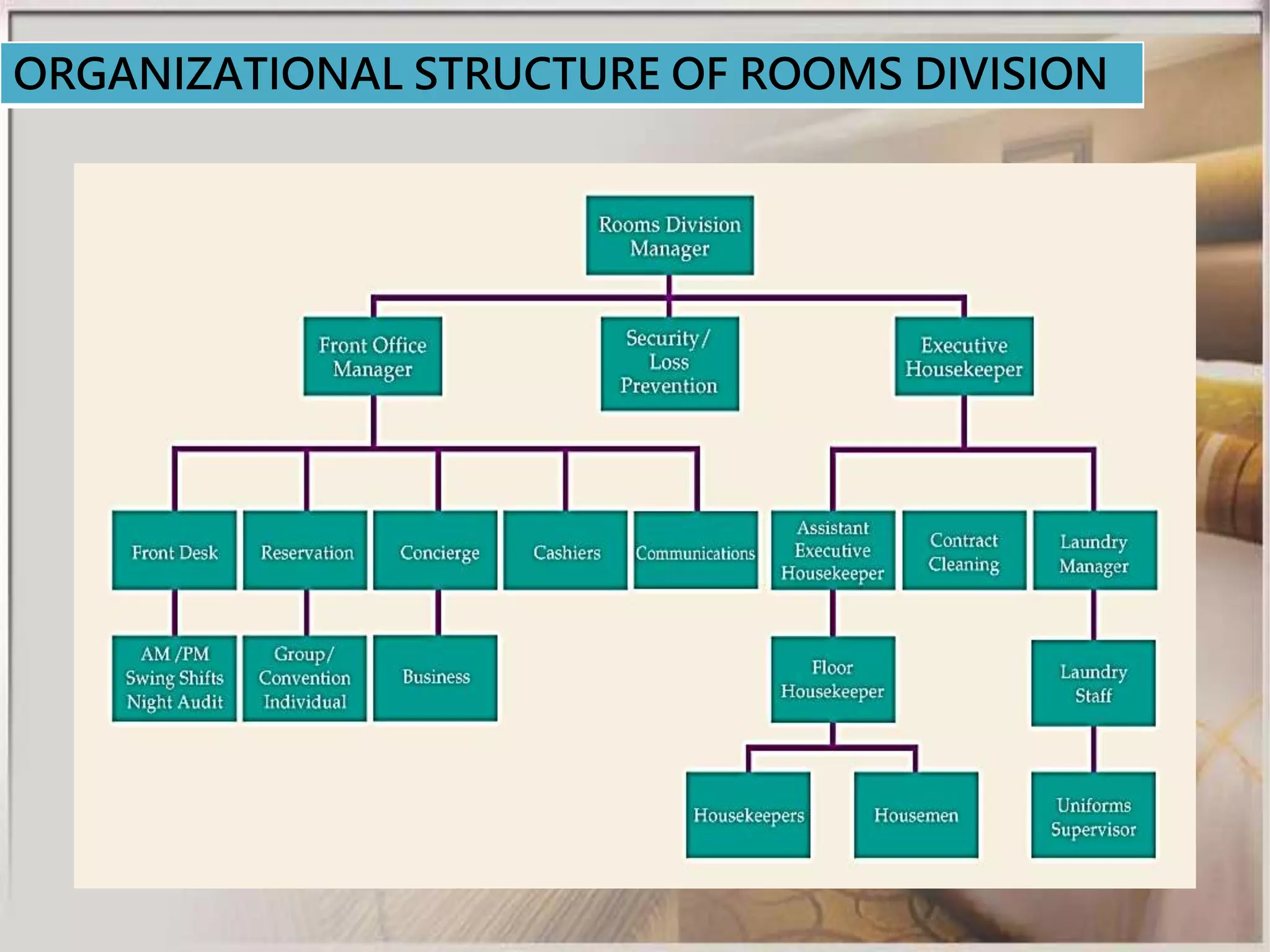 Lesson 1 - Areas of Rooms Division.pptx