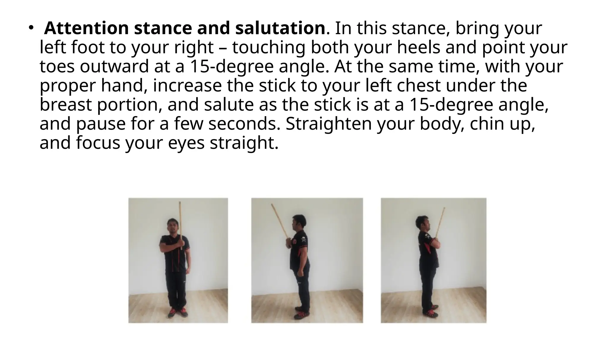 Lesson 1 - Arnis A Philippine Martial Arts.pptx